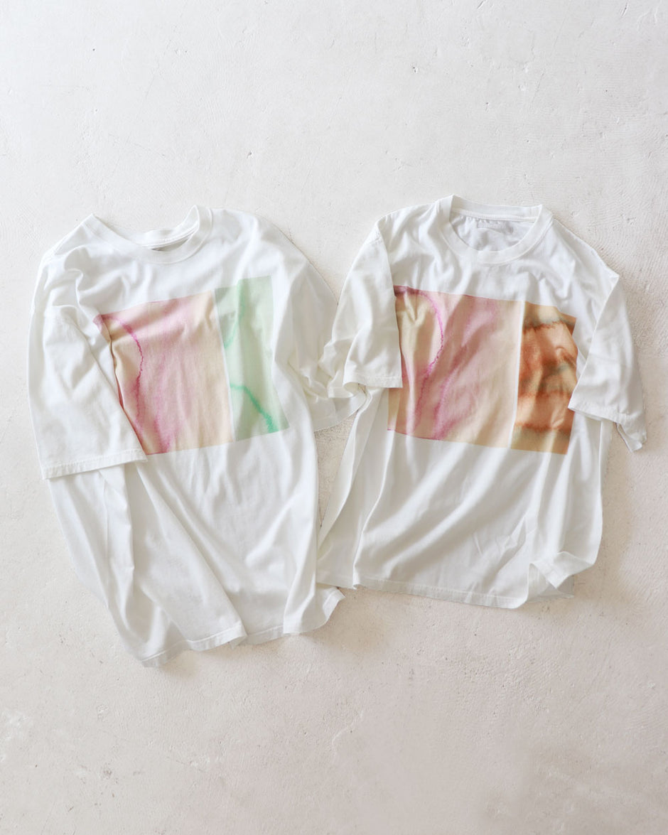 csew official web site