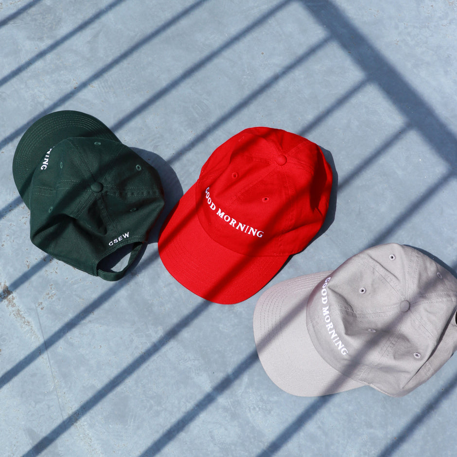 csew official web site